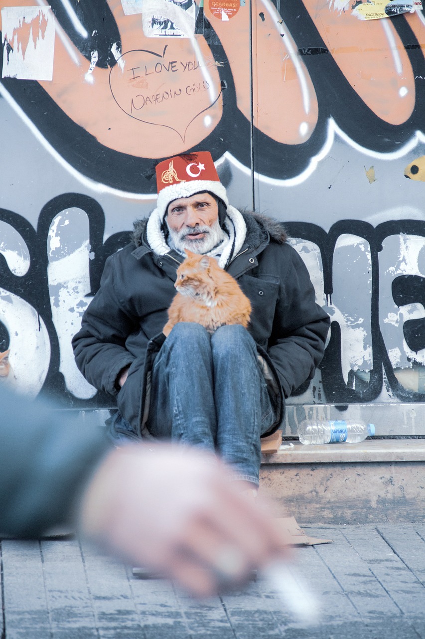 행복한 반려동물을 위한 기업들, 알아보기 - RARARARA